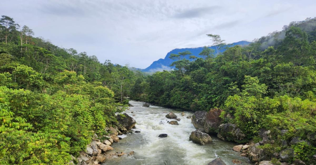 Talk | The Fish of the Fly River, Papua New Guinea | Off The Leash