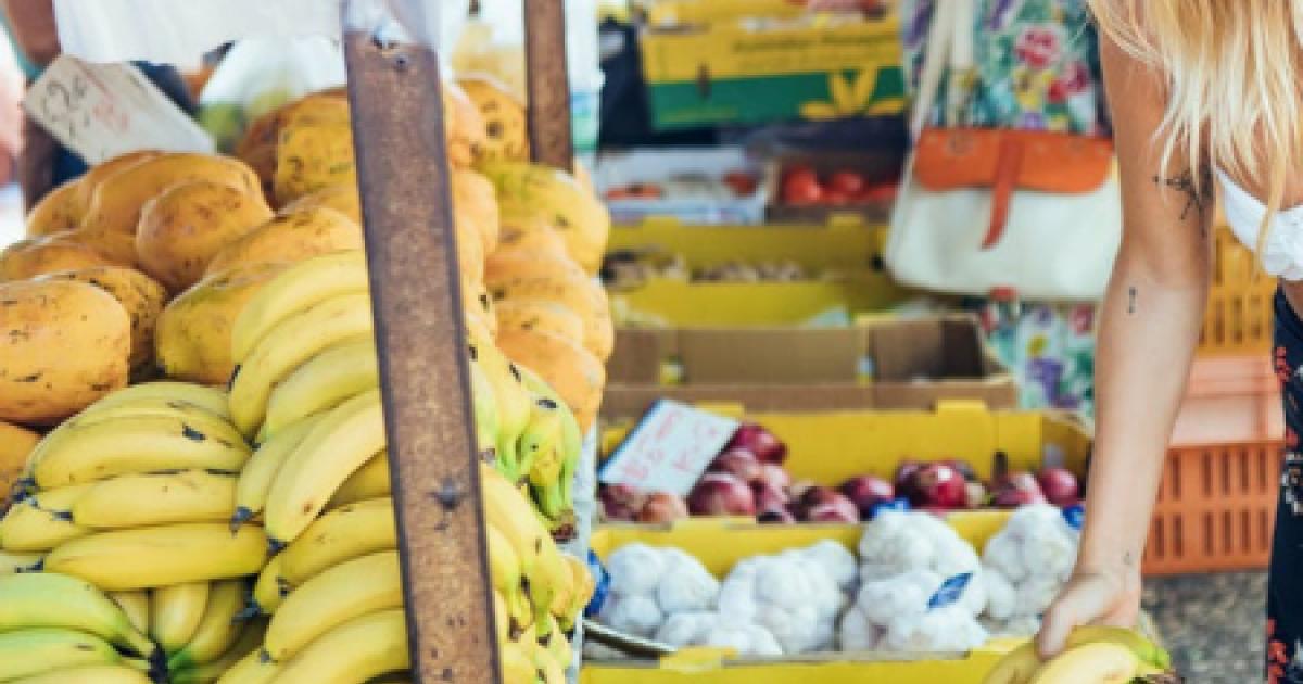 Parap Markets Story Tour | Off The Leash
