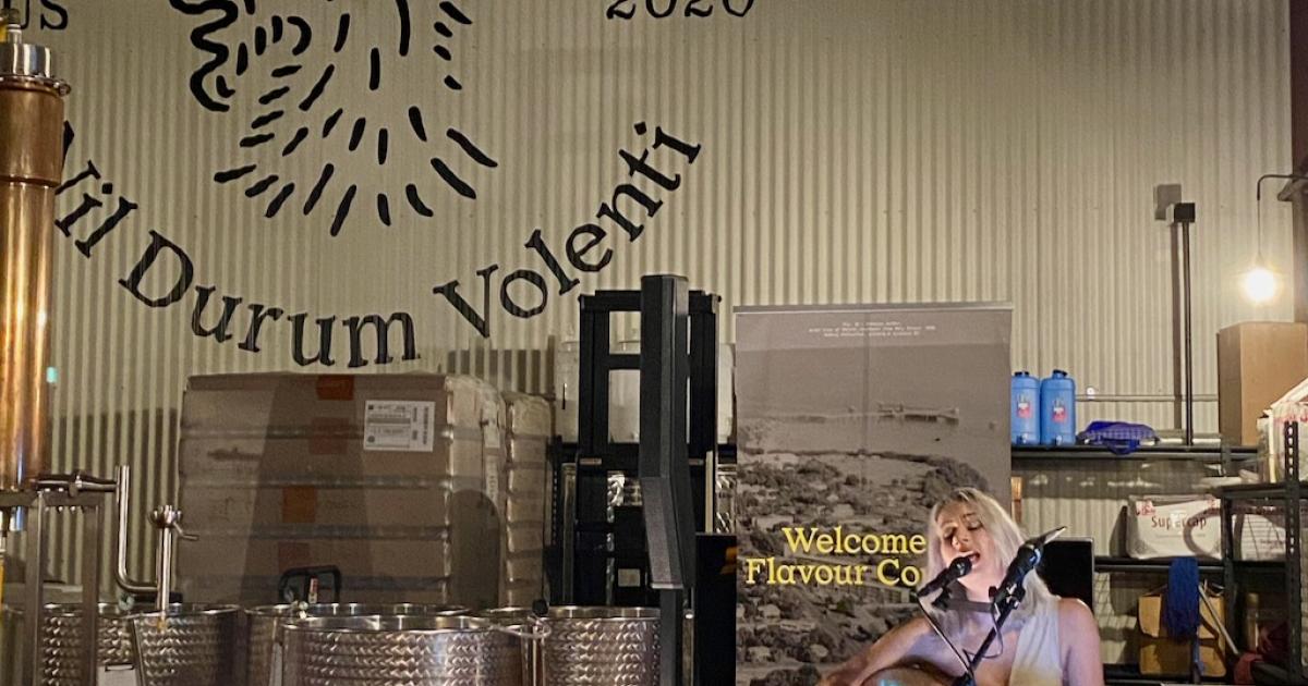 Friday Knock Offs | Off The Leash