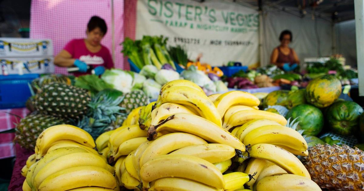 Parap Village Markets | Off The Leash