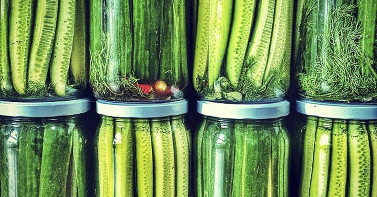 Become a pickle master | Off The Leash