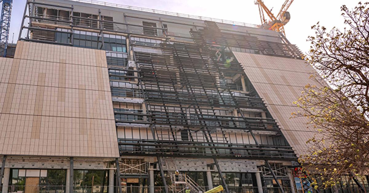 Building the Building | Off The Leash