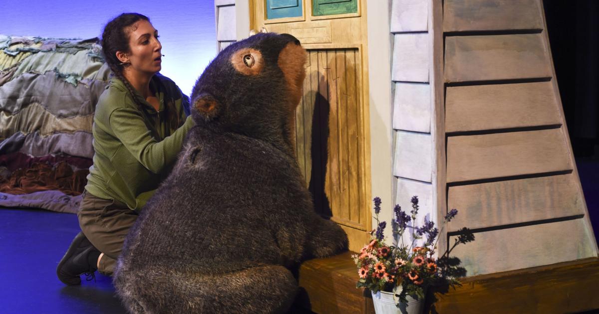 Diary of a Wombat | Off The Leash