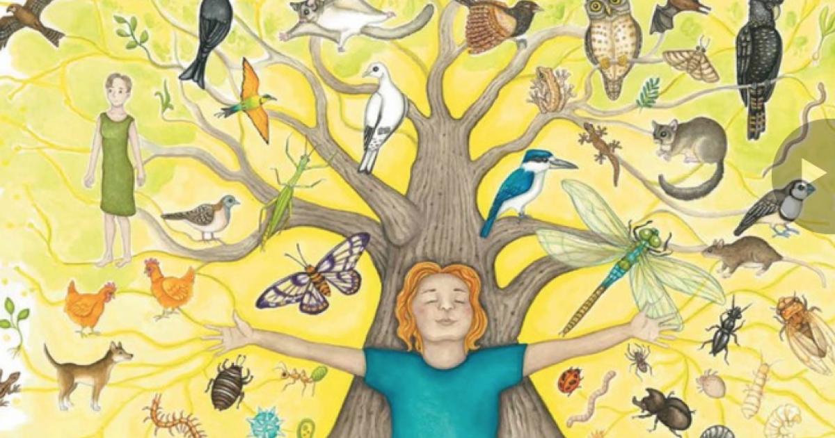 NT Writers' Centre Review - Beauty by Sandra Kendell | Off The Leash