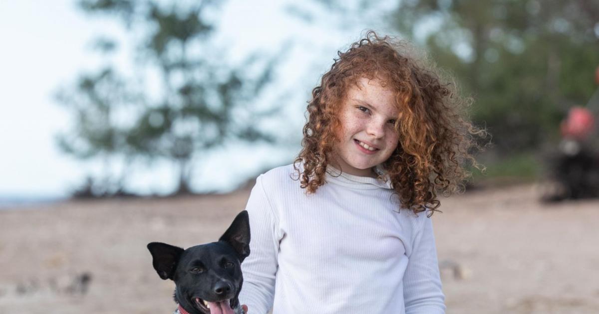 Virtually Our Reality: Storm Dog | Off The Leash